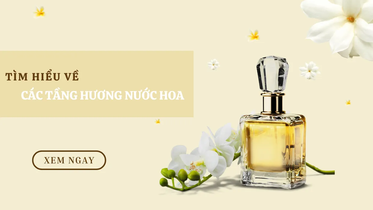 Nước hoa có mấy tầng hương? Cách nhận biết và gợi ý lý tưởng phù hợp